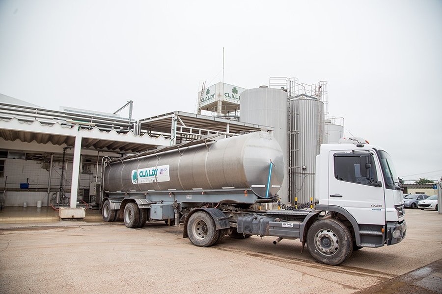 Plant | lorry - Claldy